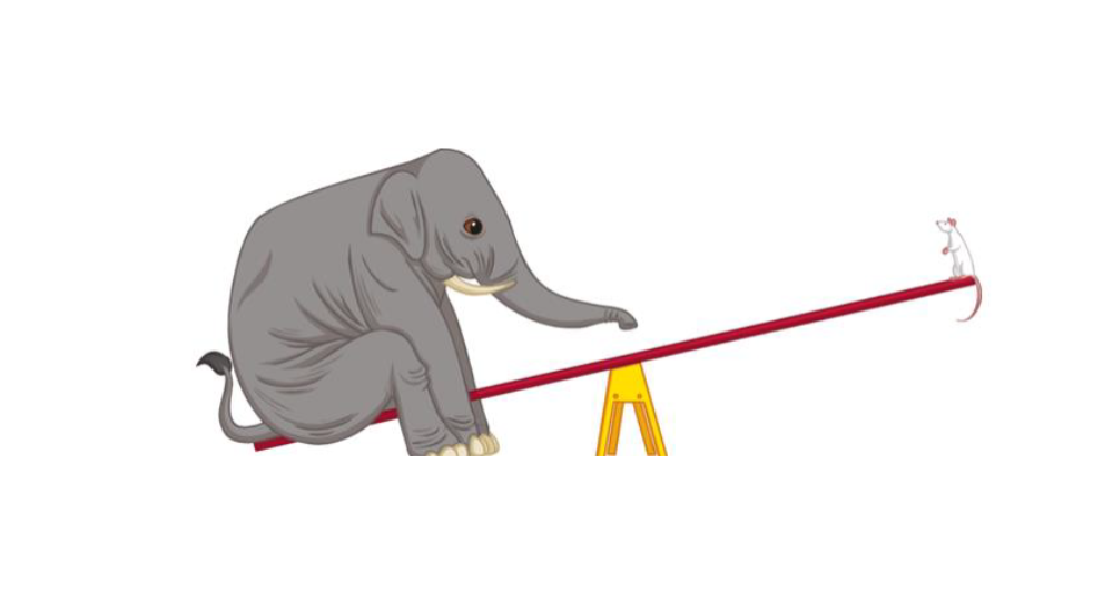 Belonging and elephants - what inclusion means to me - England Athletics