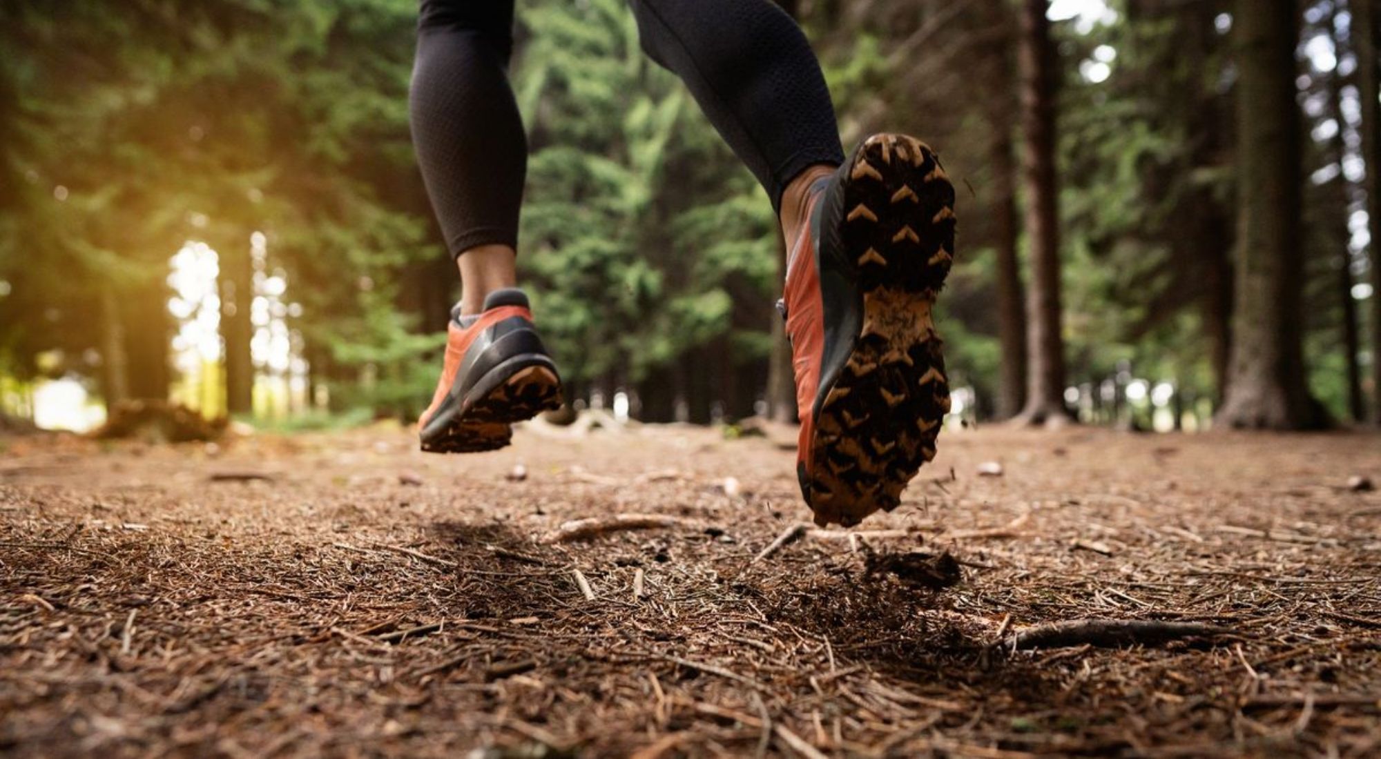 Masters trail race team v Wales announced - England Athletics